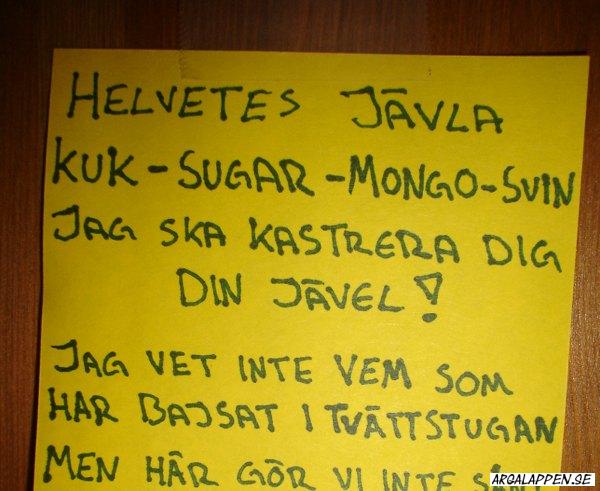 En Helvetes Jävla Kuk Sugar Mongo Svin Har Bajsat I Tvättstugan Arga